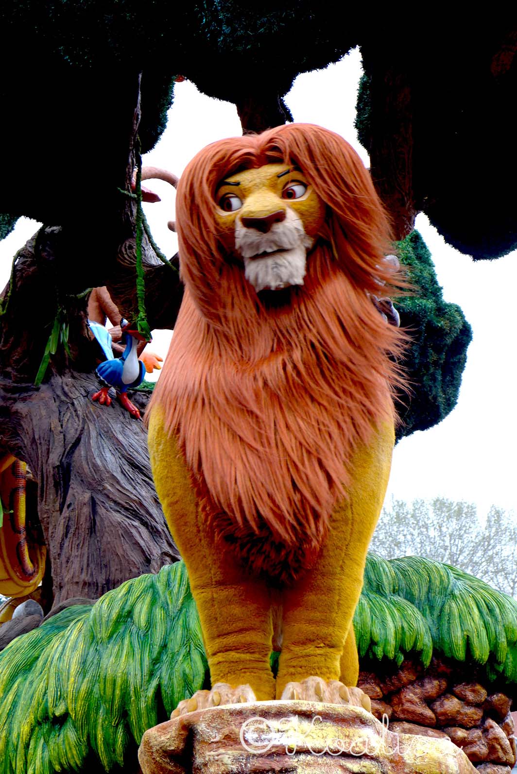 Canaillou à Disneyland Paris - Koalisa