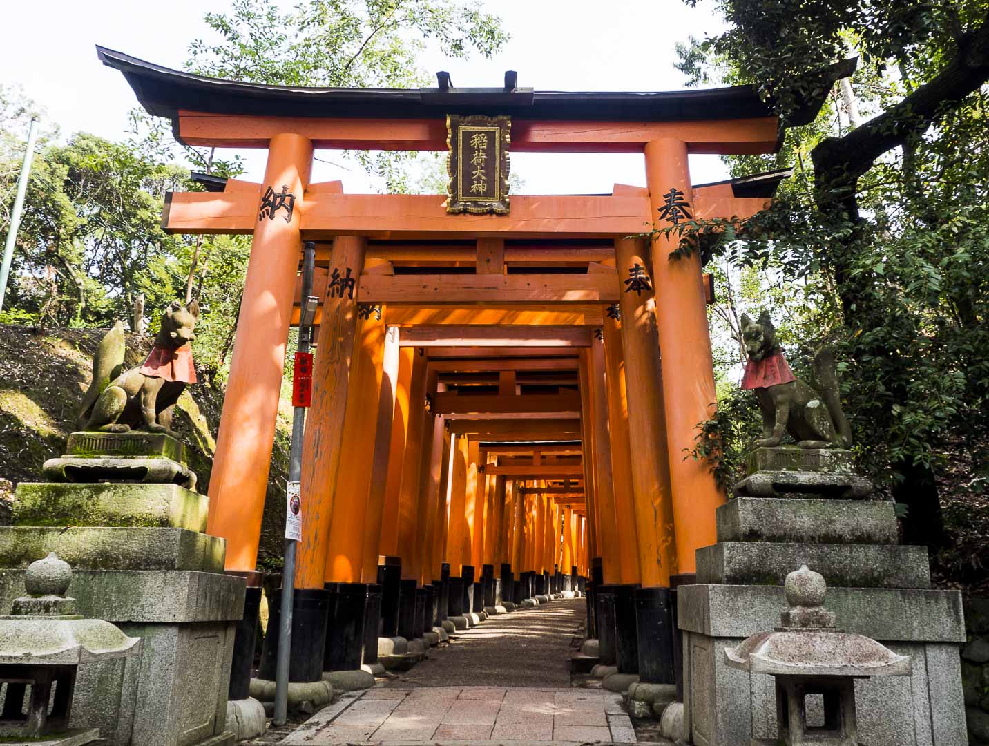Fushimi Inari, le sanctuaire aux 10 000 Torii, Kyoto - Koalisa